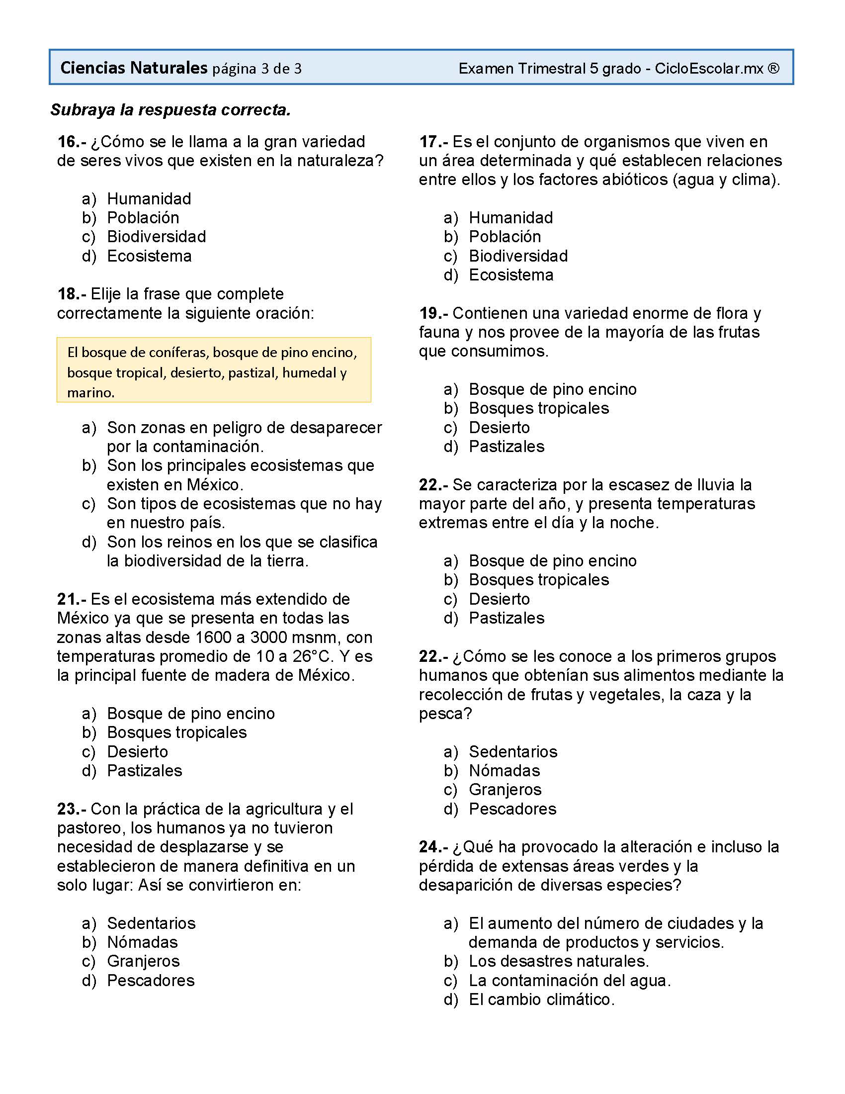 EXAMEN TRIMESTRE BLOQUE I 5° PRIMARIA CICLO ESCOLAR 2022-2023_Página_10 ...