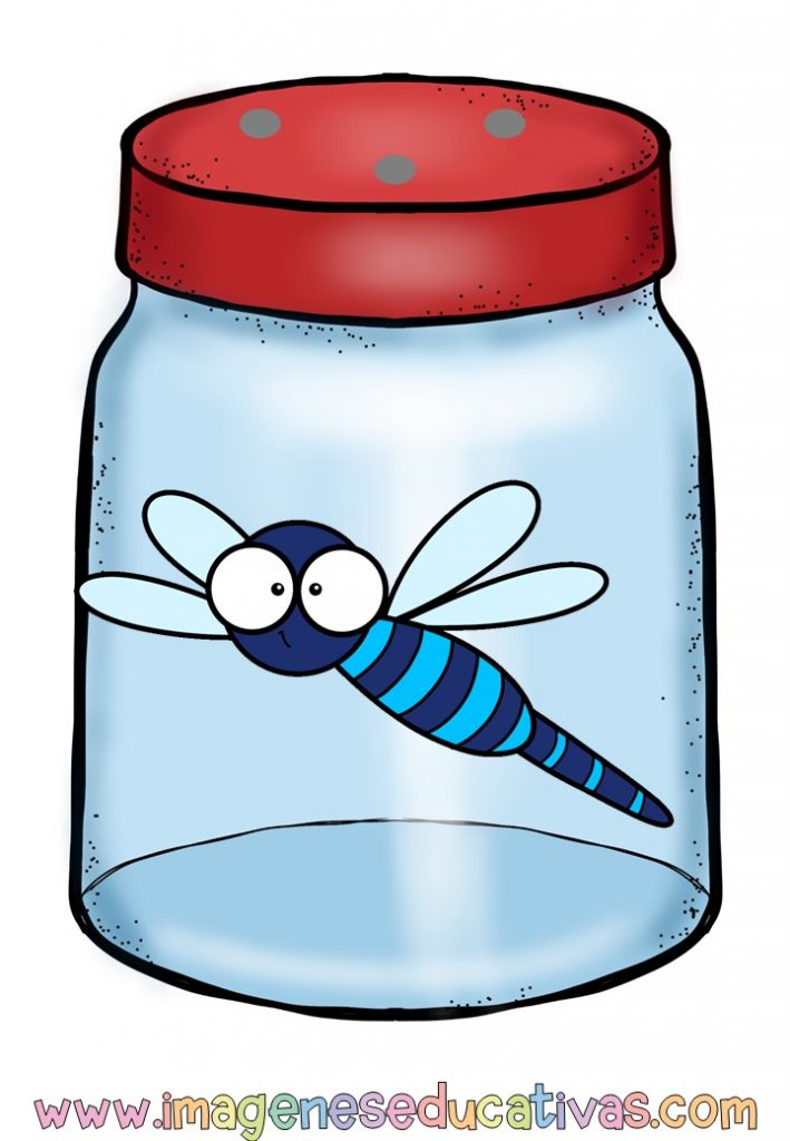 COLECCIÓN DE INSECTOS PARA OBSERVAR, COMPARAR Y DESCRIBIR - Imagenes ...