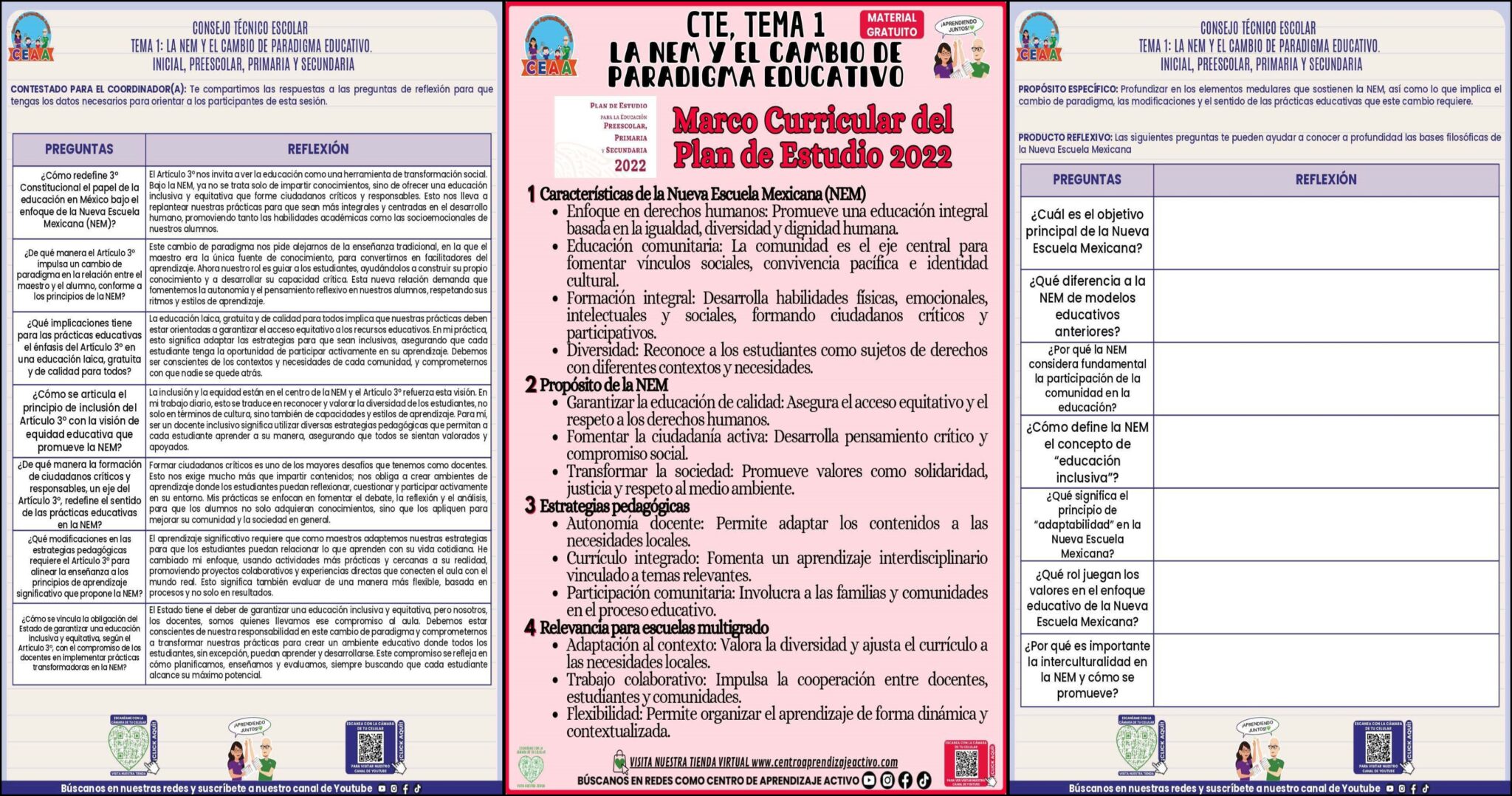 Insumos CTE Enero 2025 Tema 1. La NEM y el cambio de paradigma ...