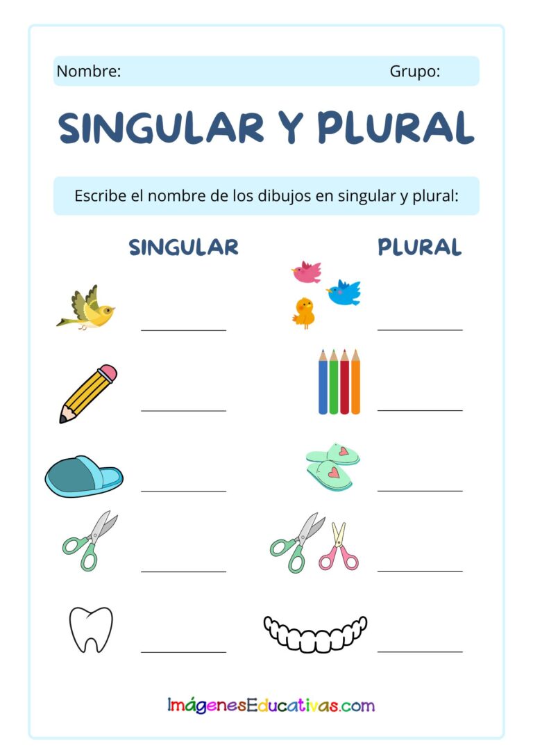 Hojas de trabajo singular-plural - Imagenes Educativas