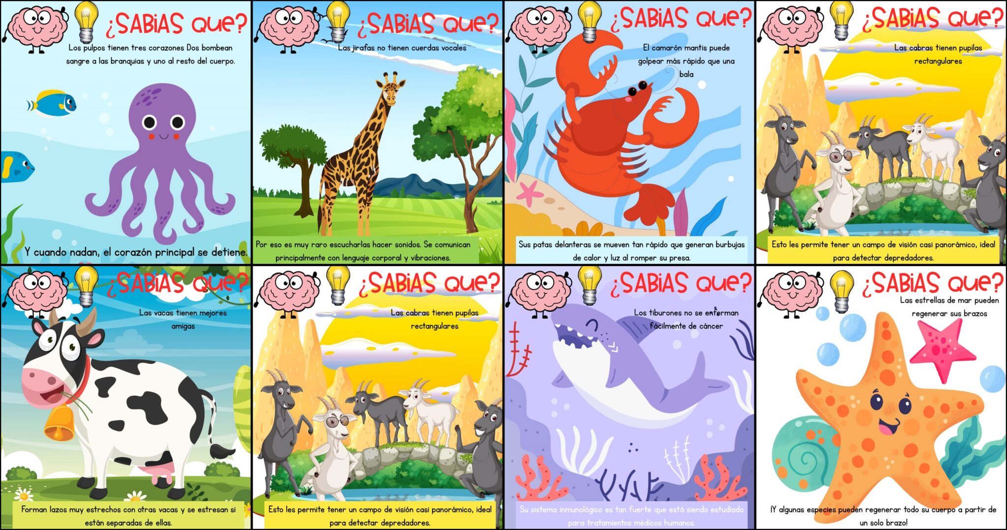 10 datos curiosos sobre los animales para niños - Imagenes Educativas