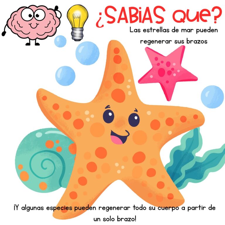 10 datos curiosos sobre los animales para niños (6) - Imagenes Educativas