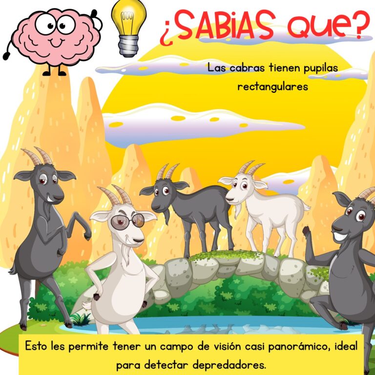 10 datos curiosos sobre los animales para niños (8) - Imagenes Educativas