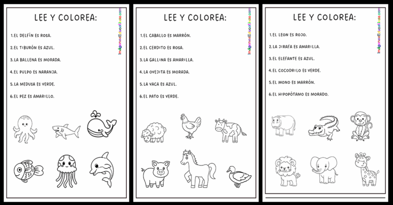 Cuadernillo Lee y dibuja para trabajar la lectura de comprensión y ...