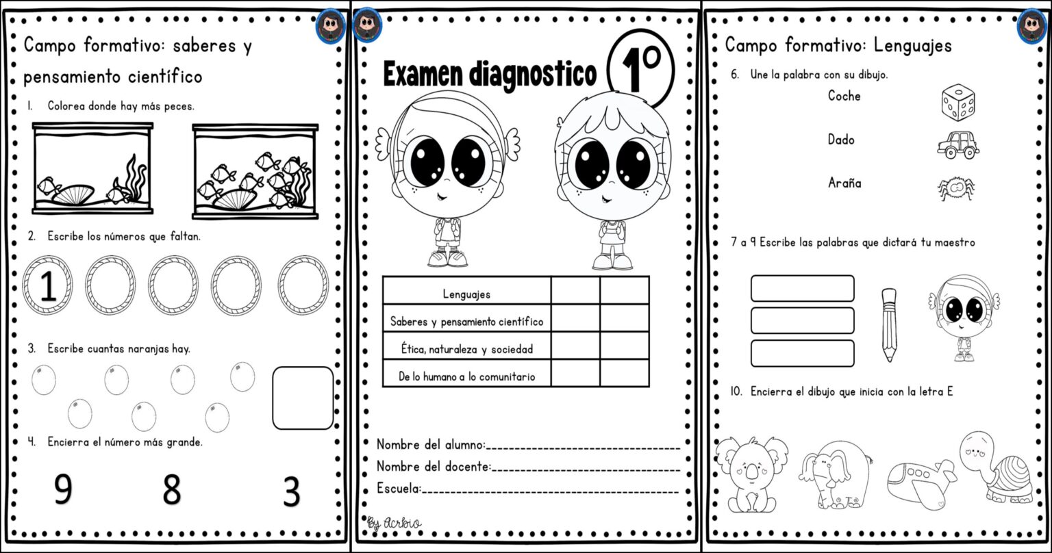 Examen Primer Trimestre 2024 2025 1º Grado Imagenes Educativas 0556