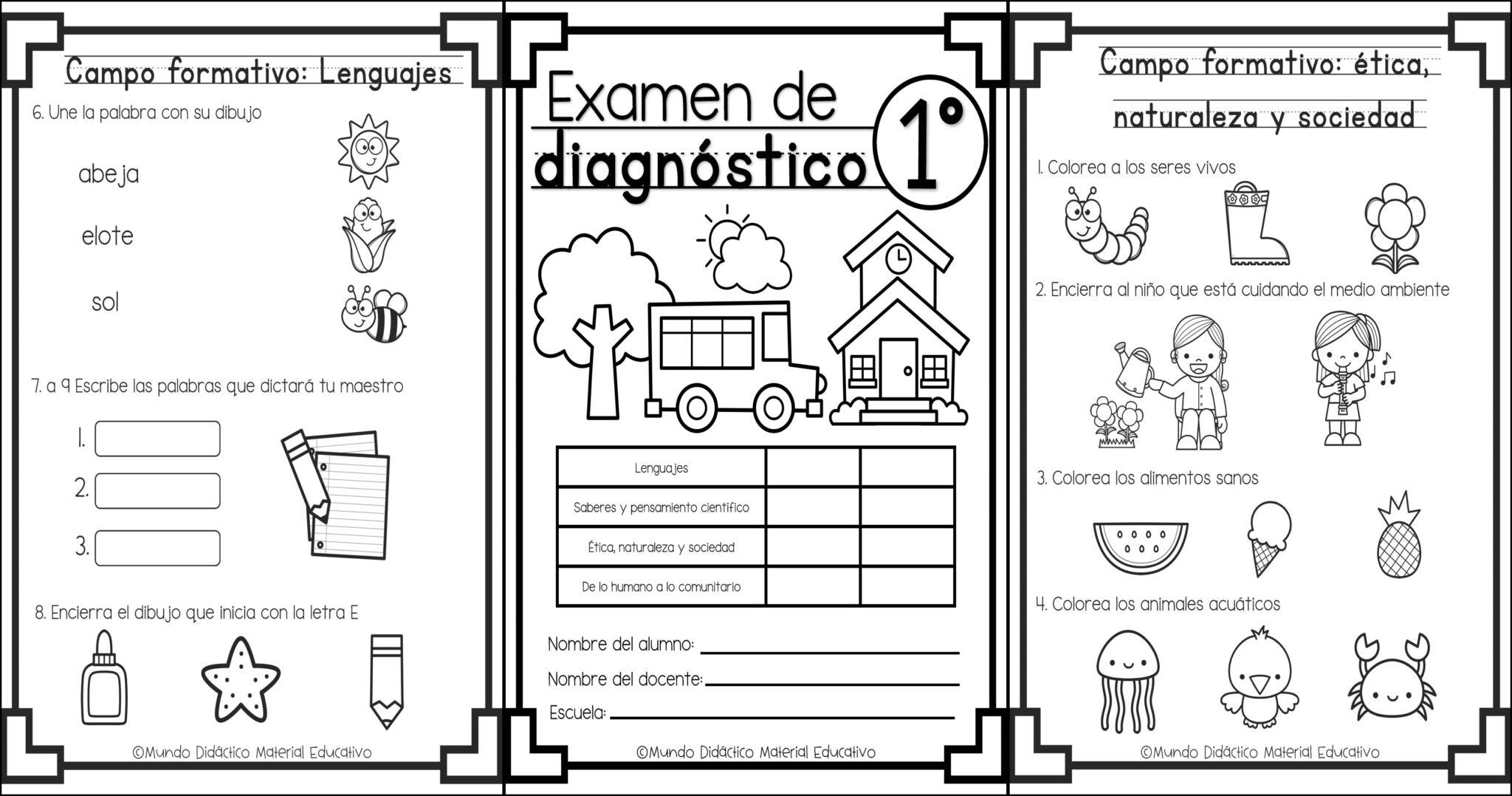 Examen diagnostico 1º 2025-2026 - Imagenes Educativas