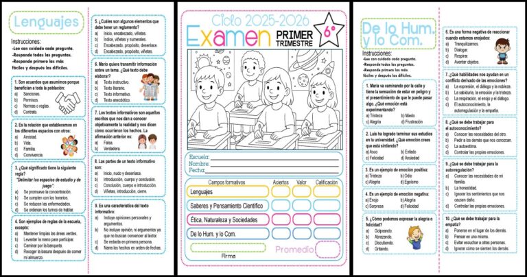Examen primer Trimestre 2024-2025 4º GRADO - Imagenes Educativas